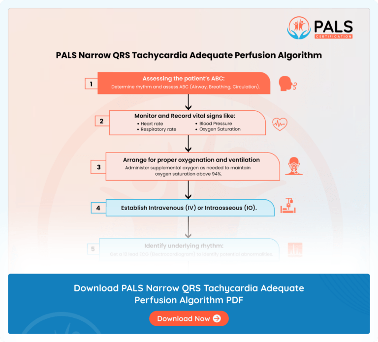 Pals Algorithms